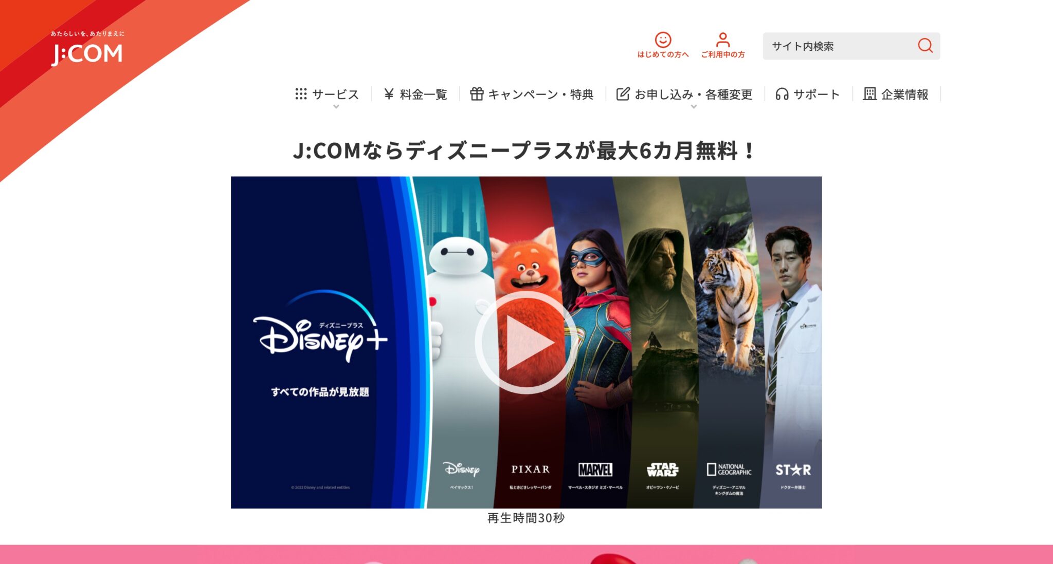 ディズニープラスを安く見る方法！お得な入り方は？ | めざBlog