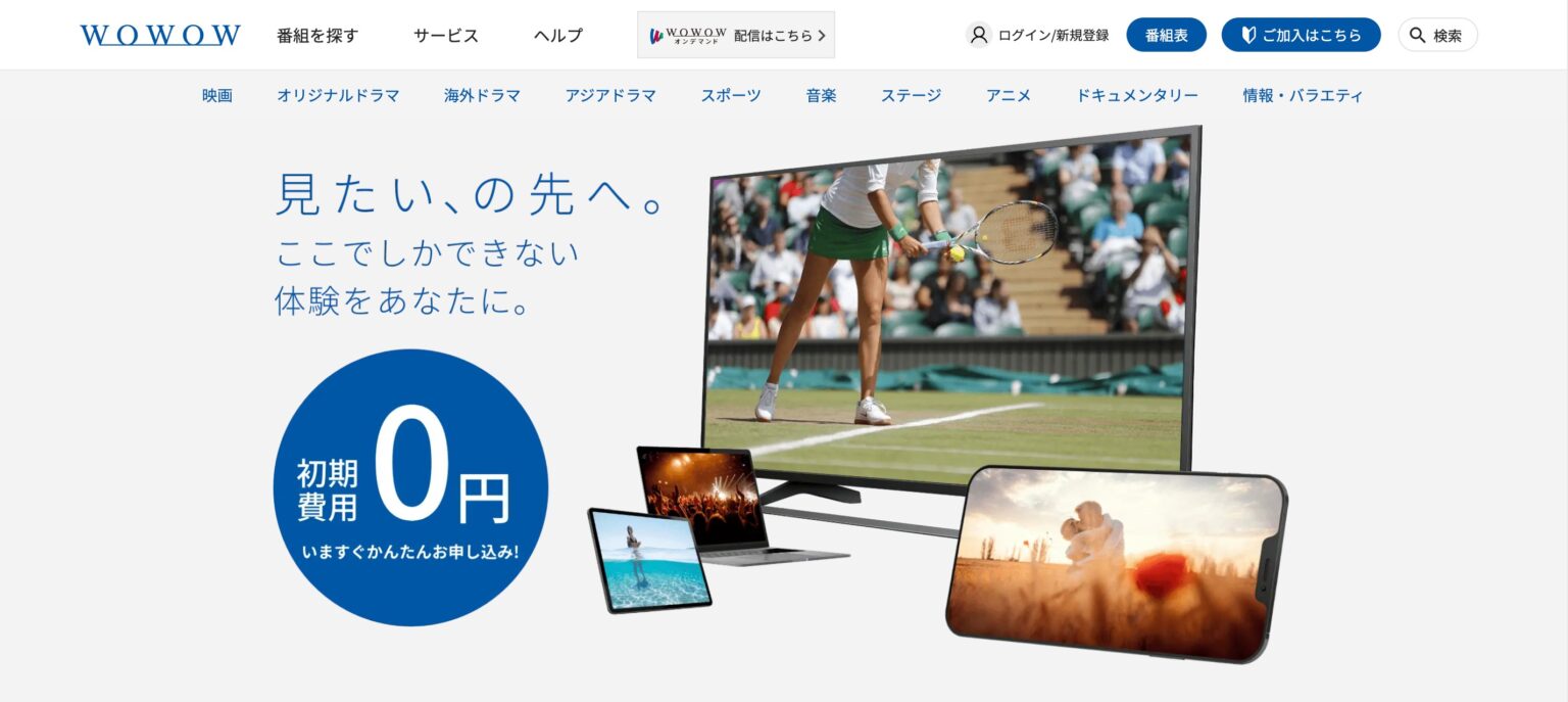 ディズニープラスはWOWOWで見れる？ディズニーやらなくなった？ | めざBlog